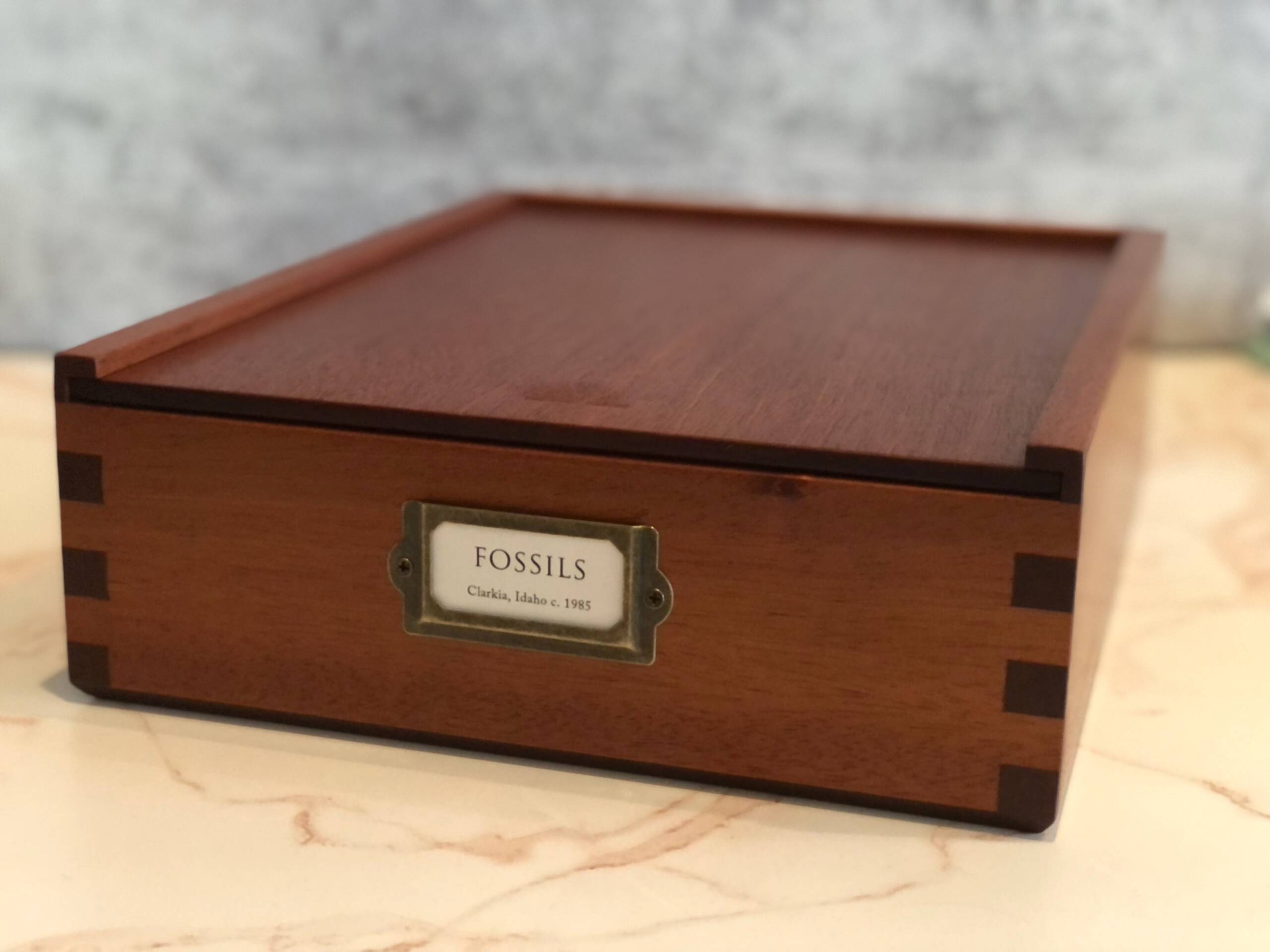 “Fossil Collectors” Mahogany Box – San Fernando Valley Woodworkers ...